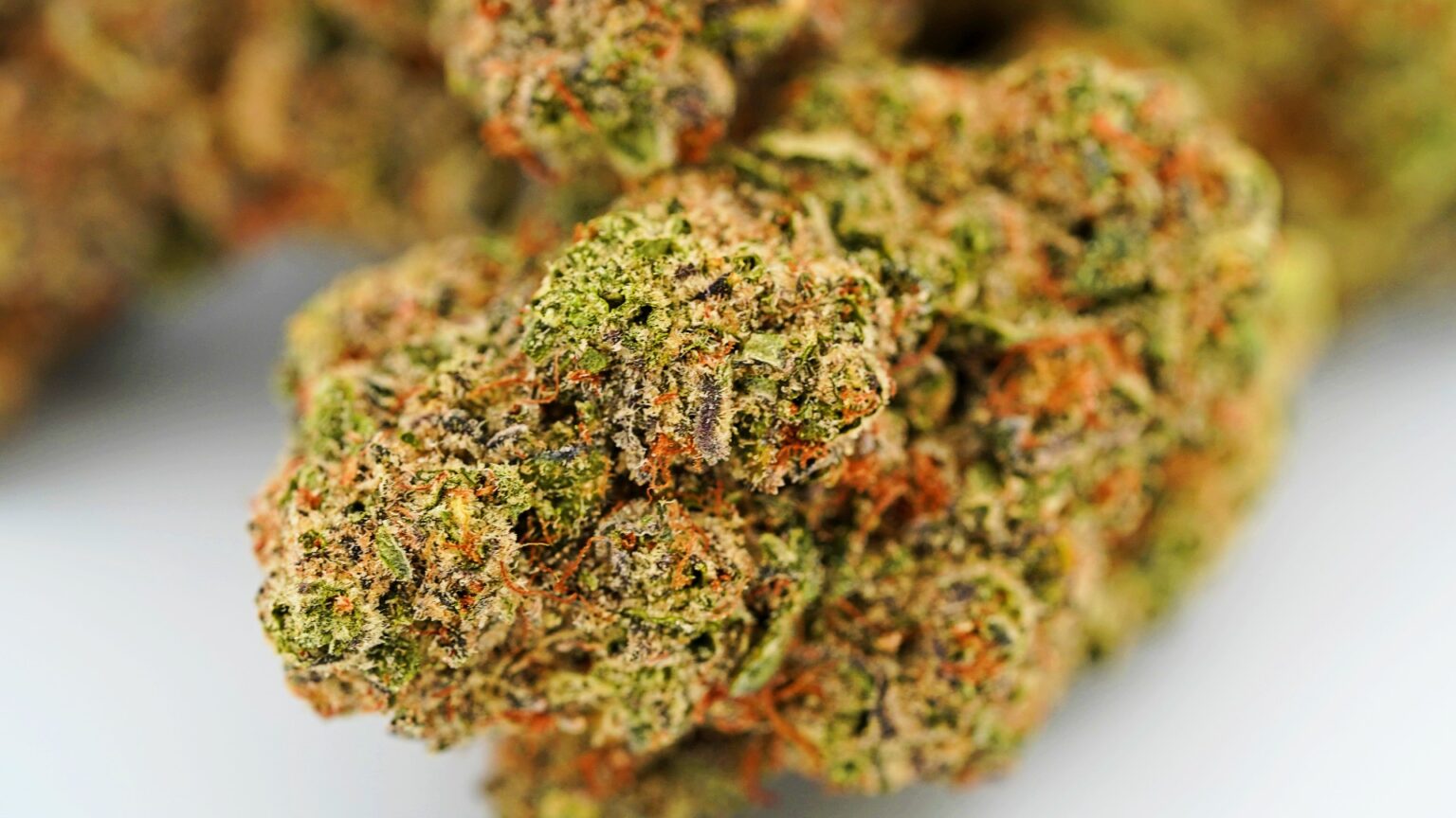 Dutt Pack Weed: FlightReacts’ Premium Cannabis | Shop Now!